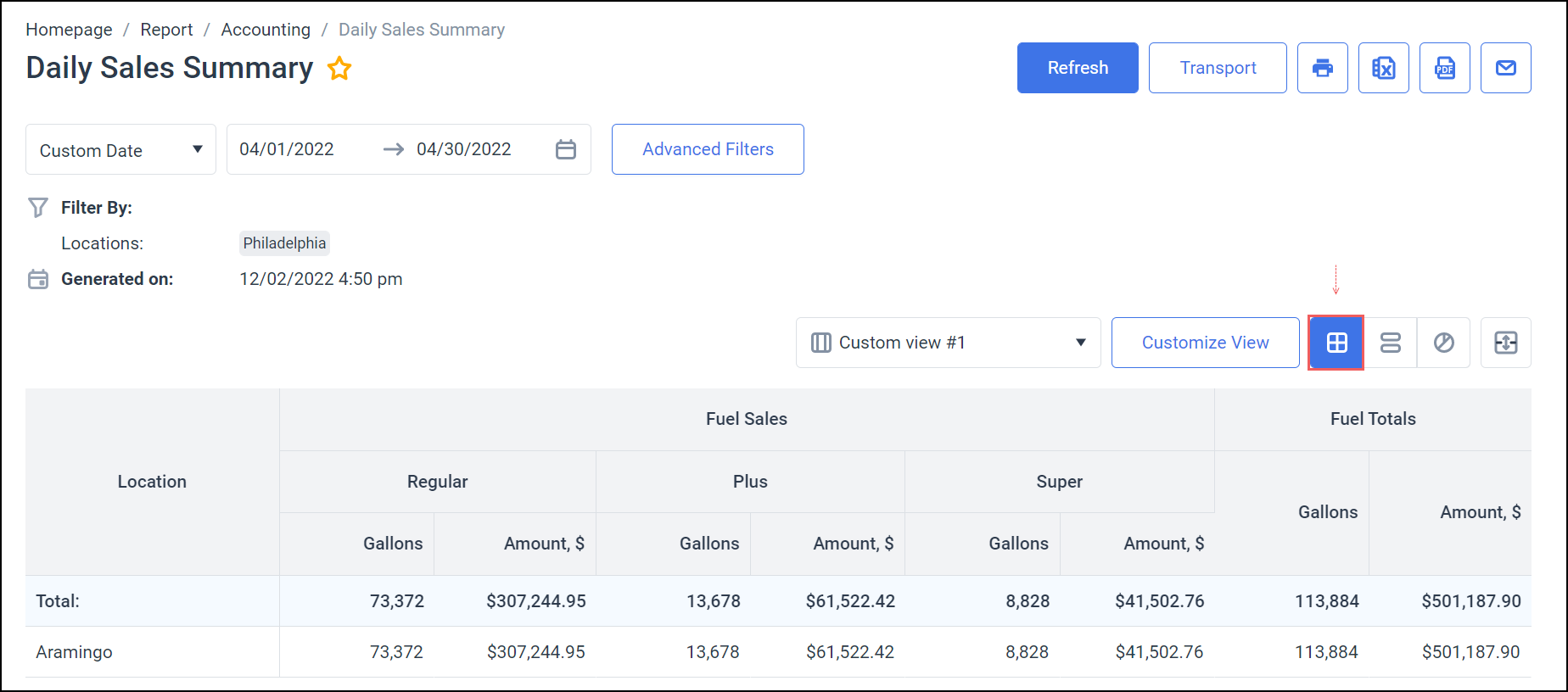 Viewing the Report Data